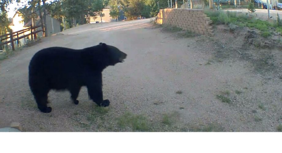 Rent With Ease - MTM Premier Property Management